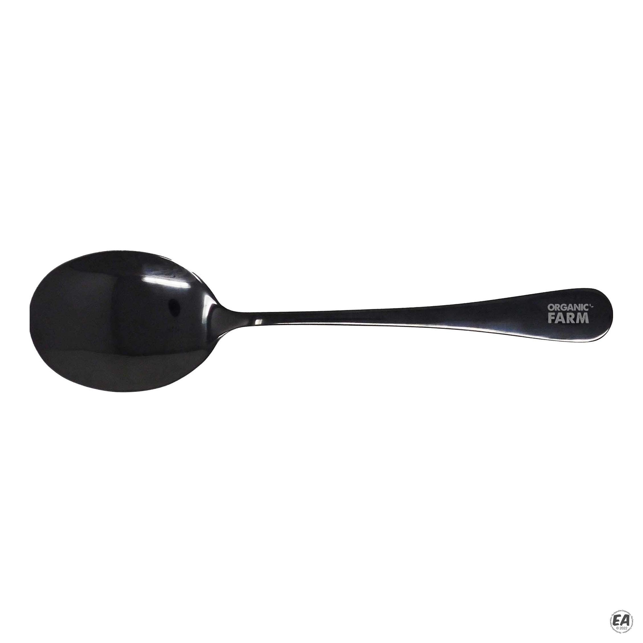 Promotional Eclipse Stainless Serving Spoon | Customized Utensils ...