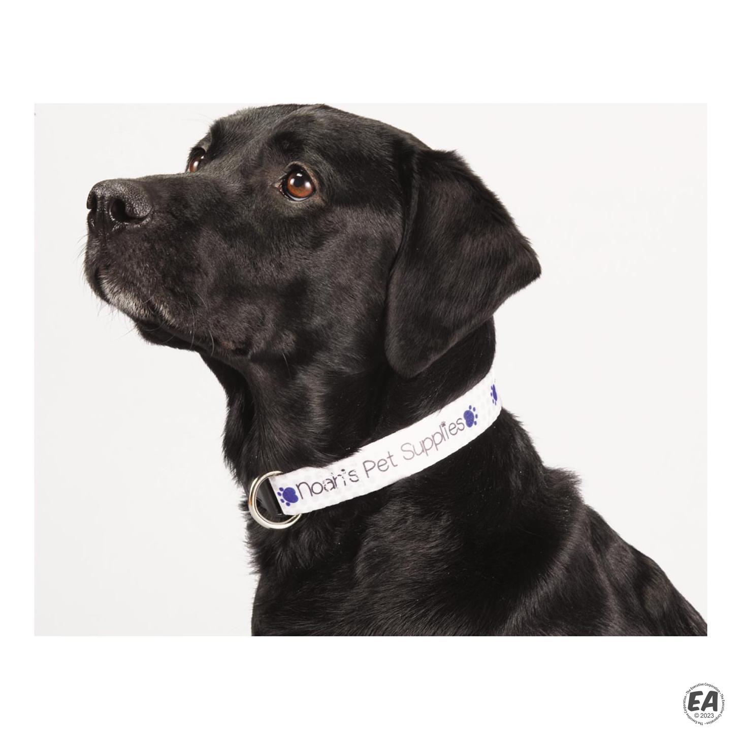 Promotional 1 Wide Full Color Pet Collar | Customized Pet Accessories ...