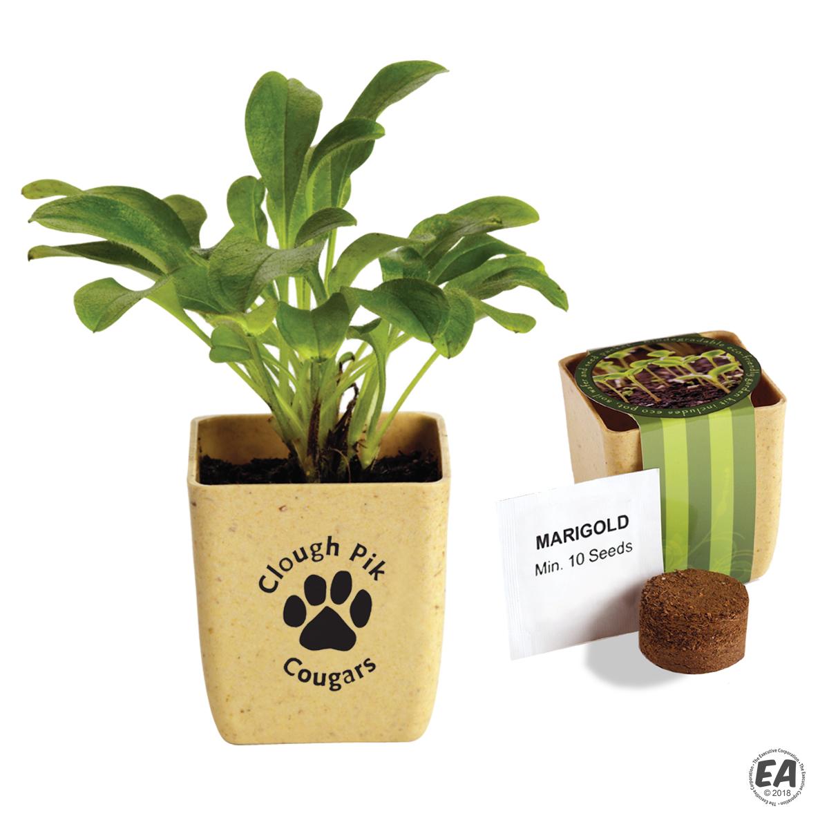 Promotional Flower Pot Set with Marigold Seeds | Branded Garden ...