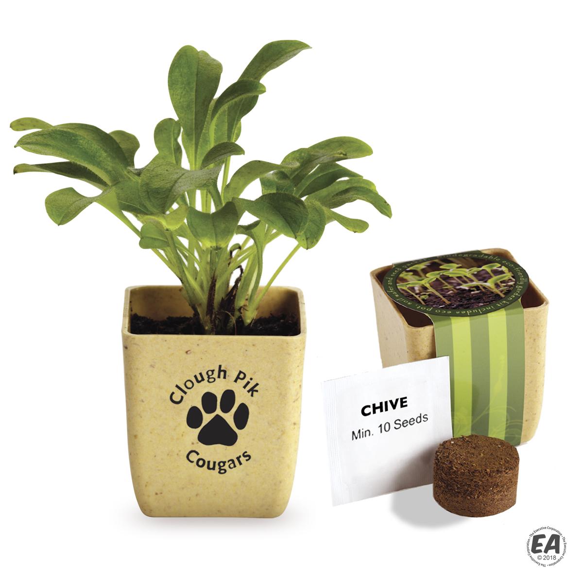 Promotional Flower Pot Set with Chive Seeds | Customized Garden ...