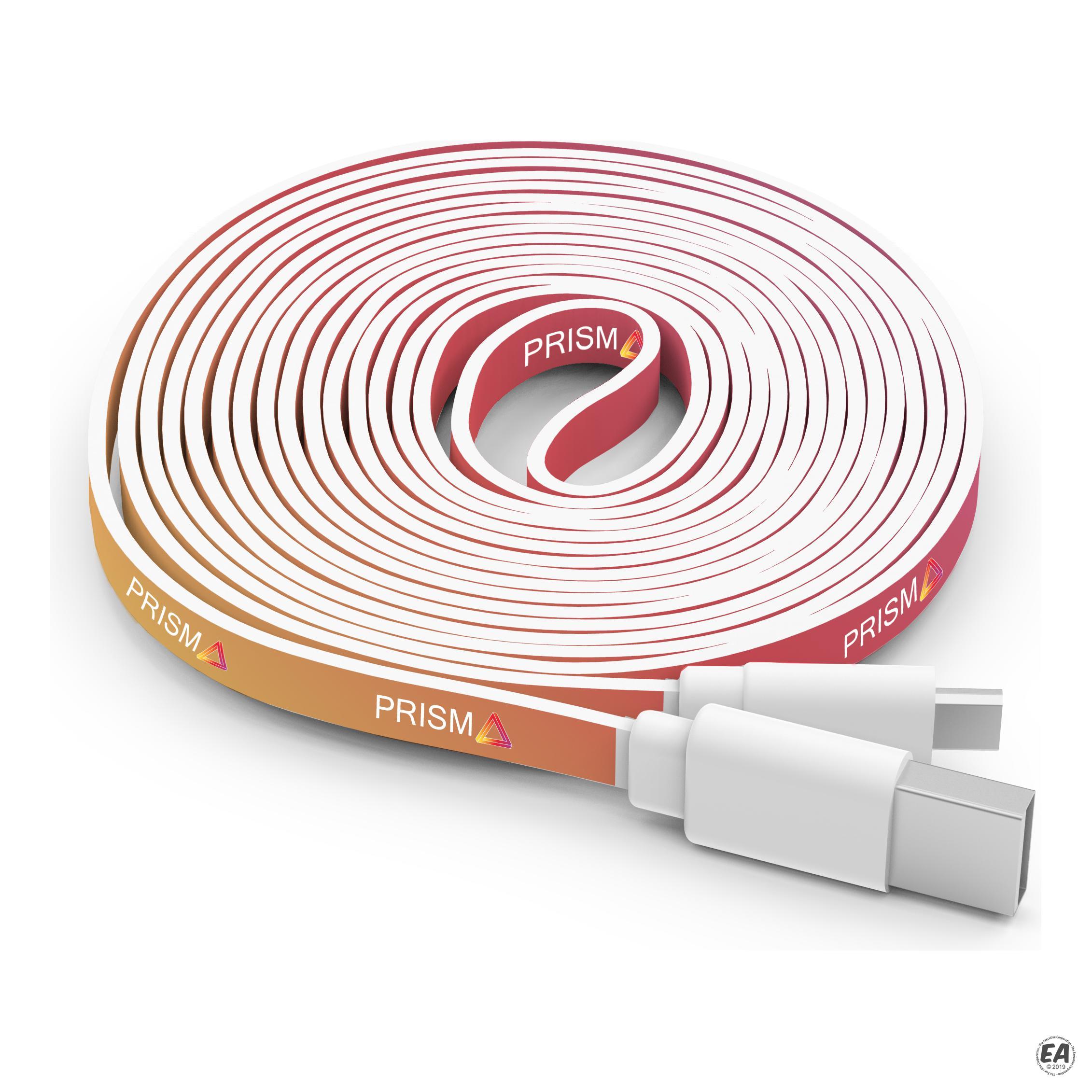 Promotional Powerstick 10 Foot Branded USB to Micro USB Cable ...