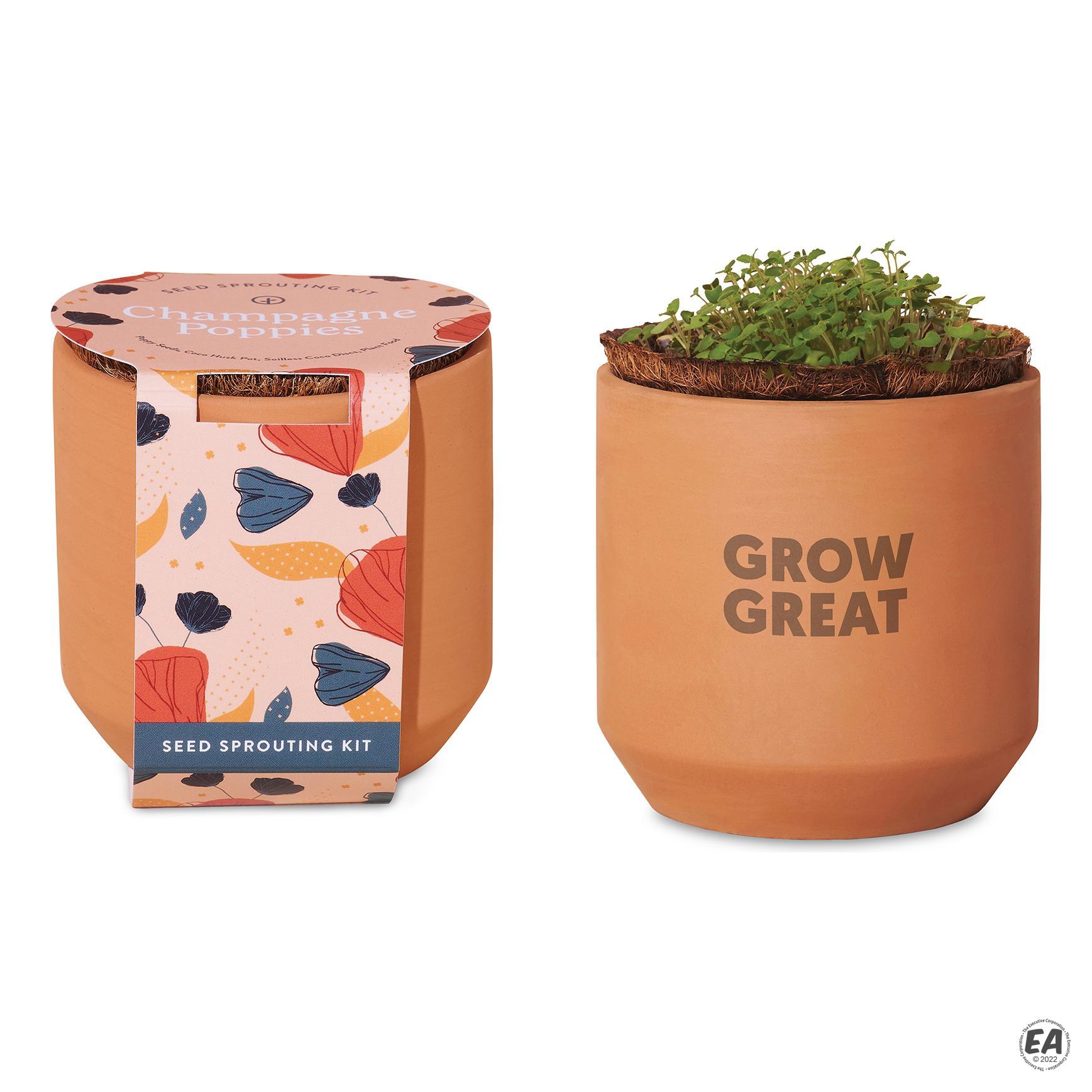 Branded Modern Sprout Tiny Terracotta Grow Kit Champagne Poppies ...
